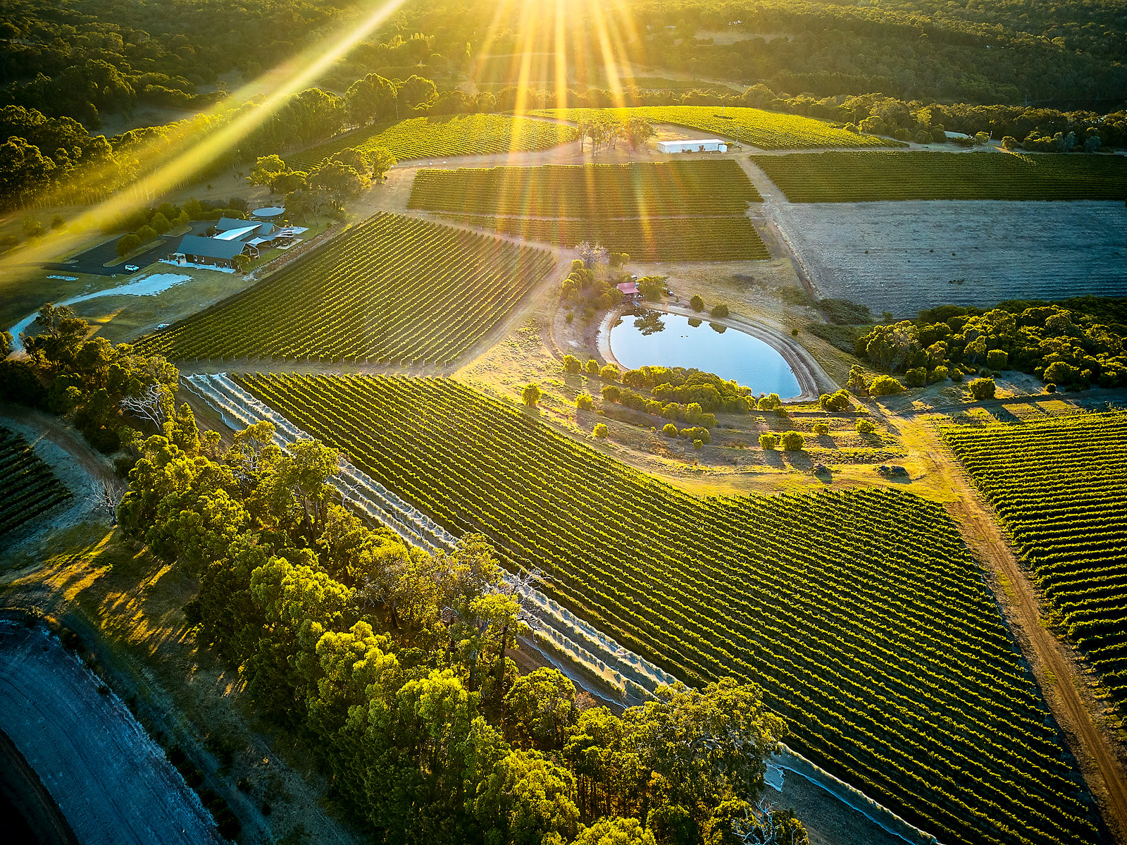 Wills Domain Winery